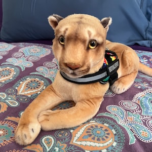 ESSA Cougar Mountain Lion Puma Emotional Support Plush Stuffed Animal ...