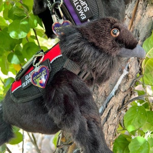 ESSA Raven Crow Emotional Support Plush Stuffed Animal Personalized ...
