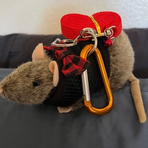 ESSA Rat Grey Emotional Support Plush Stuffed Animal Personalized Gift ...