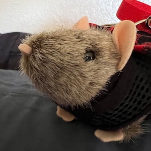 ESSA Rat Grey Emotional Support Plush Stuffed Animal Personalized Gift ...