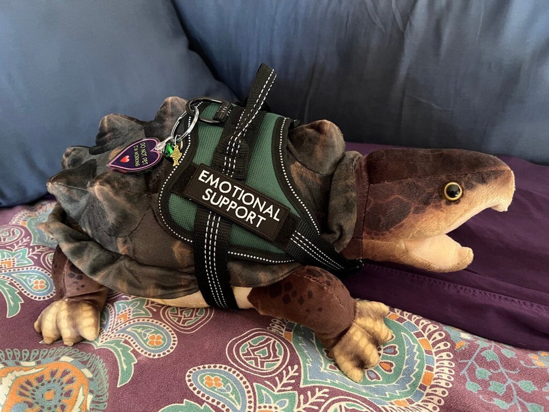 Emotional Support Snapping Turtle Plush Stuffed Animal Personalized ...