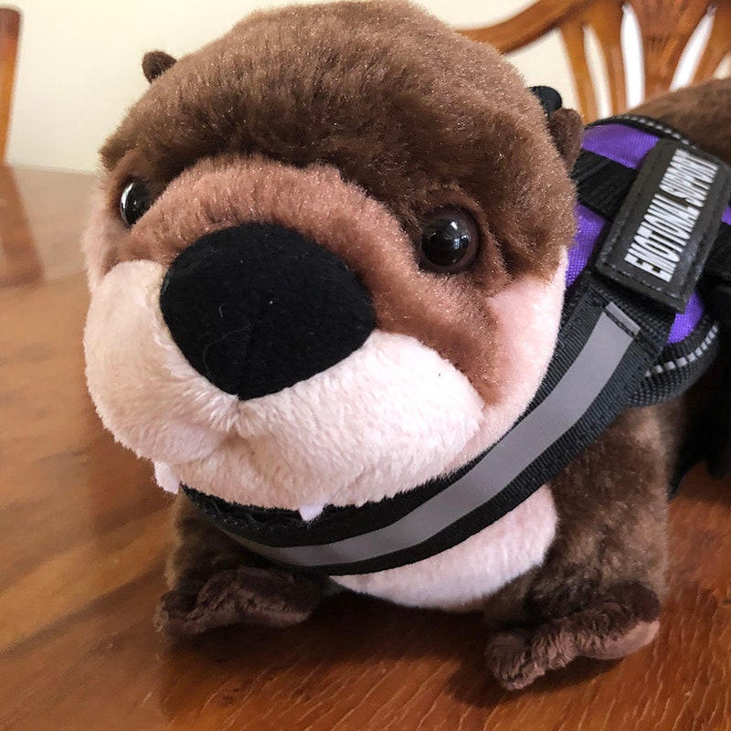 Emotional Support Stuffed Animal - Etsy