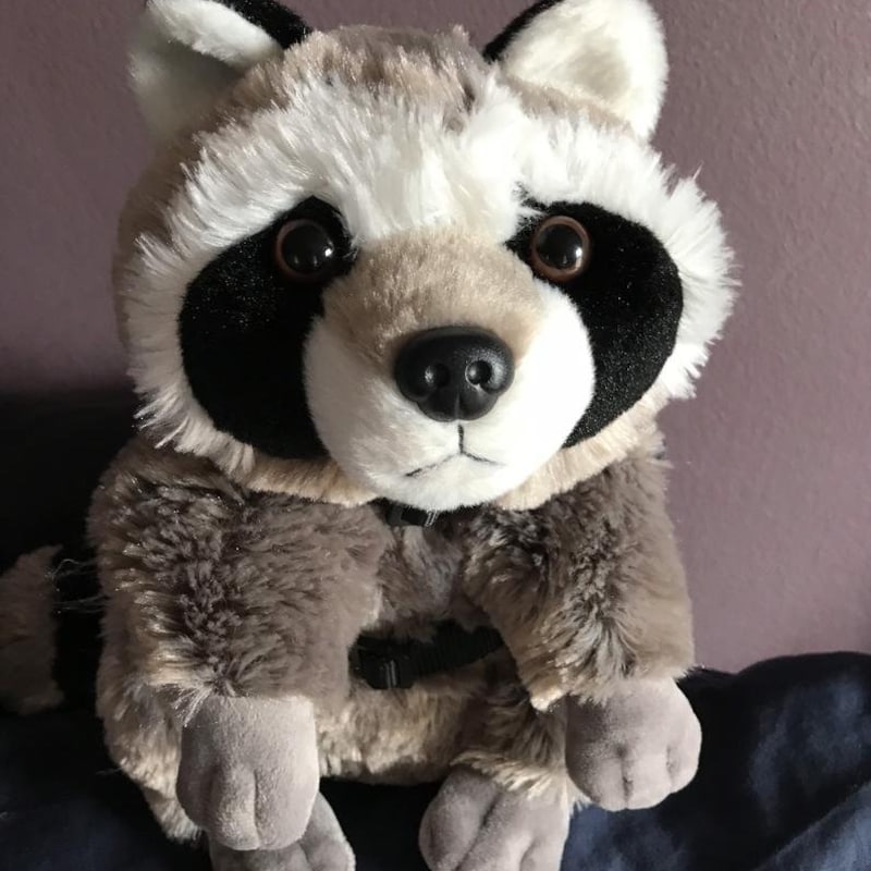 Raccoon Toy - Etsy