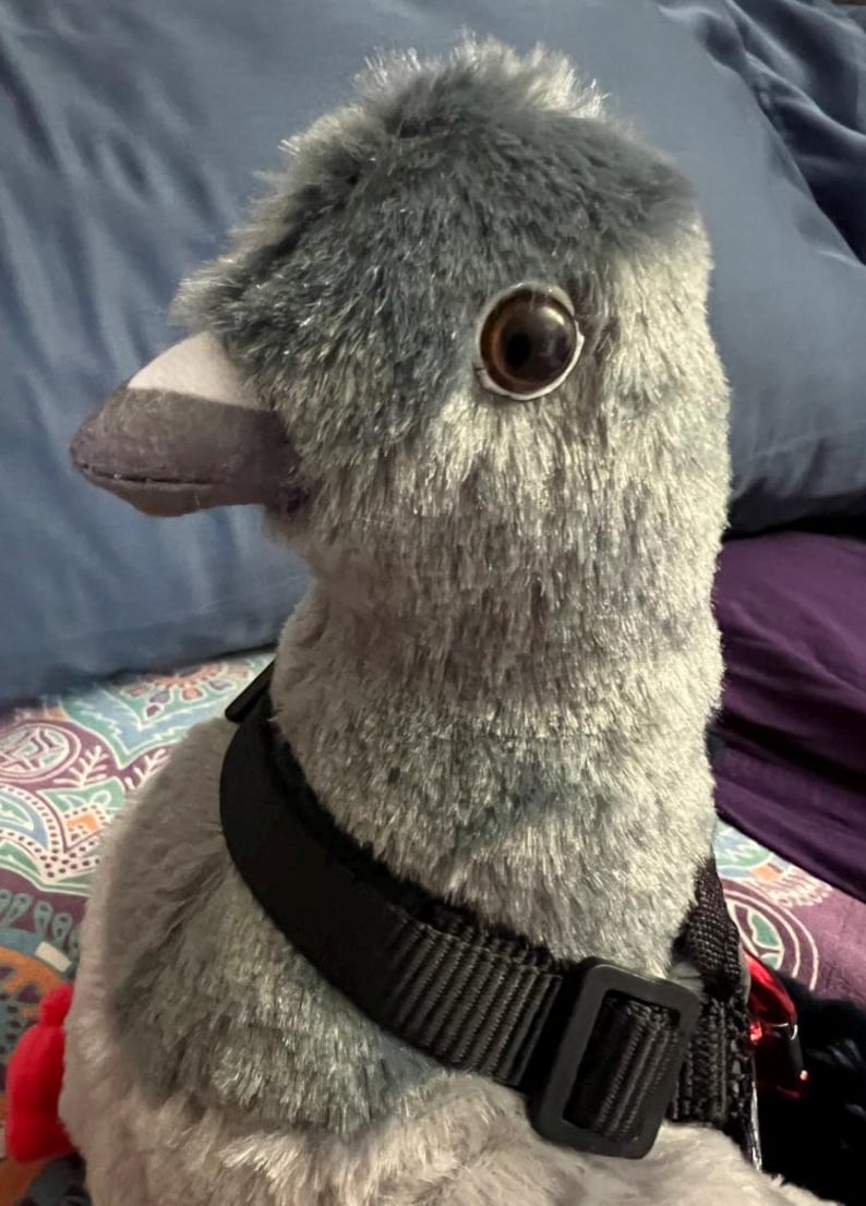 ESSA Pigeon Sky Rat Emotional Support Plush Stuffed Animal Personalized ...