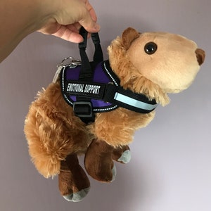 Emotional Support Capybara Plush Stuffed Animal Personalized Gift Toy ...