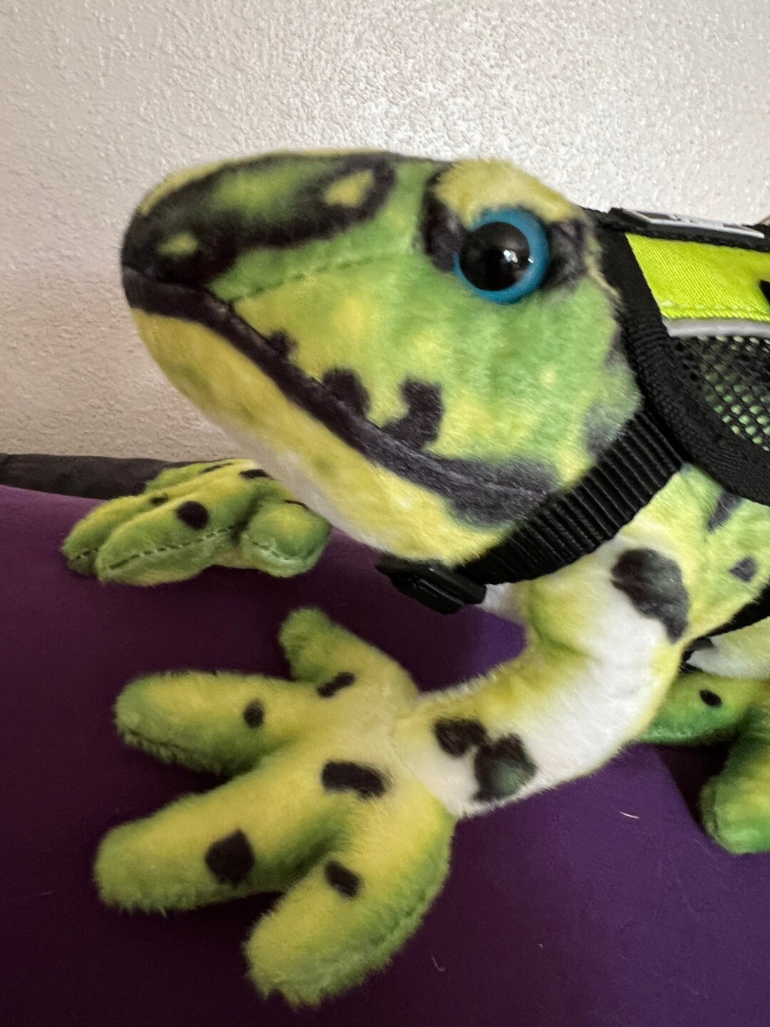 ESSA Frog Emotional Support Plush Stuffed Animal Personalized Gift Toy ...