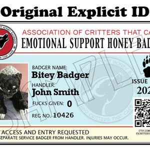 ESSA Raccoon Emotional Support Plush Stuffed Animal Personalized Gift ...