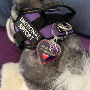 ESSA Husky Dog Emotional Support Plush Stuffed Animal Personalized Gift ...