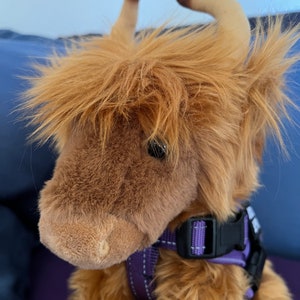 ESSA Highland Cow Emotional Support Plush Stuffed Animal Personalized ...