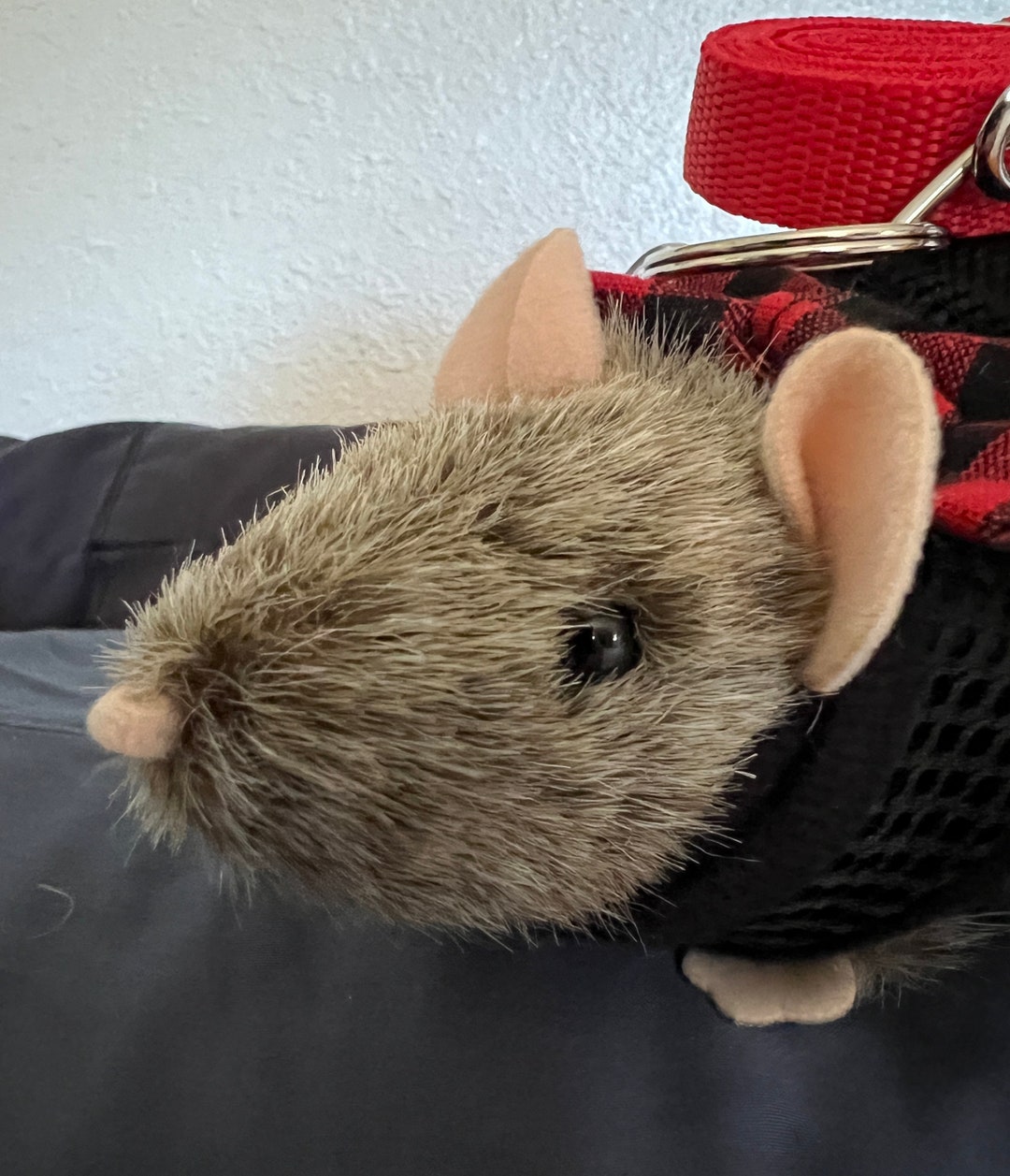 ESSA Rat Grey Emotional Support Plush Stuffed Animal Personalized Gift Toy - Etsy