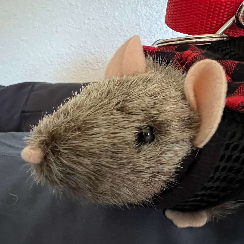 Rat Plush Toys - Etsy