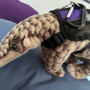 ESSA Pangolin Emotional Support Plush Stuffed Animal Personalized Gift ...