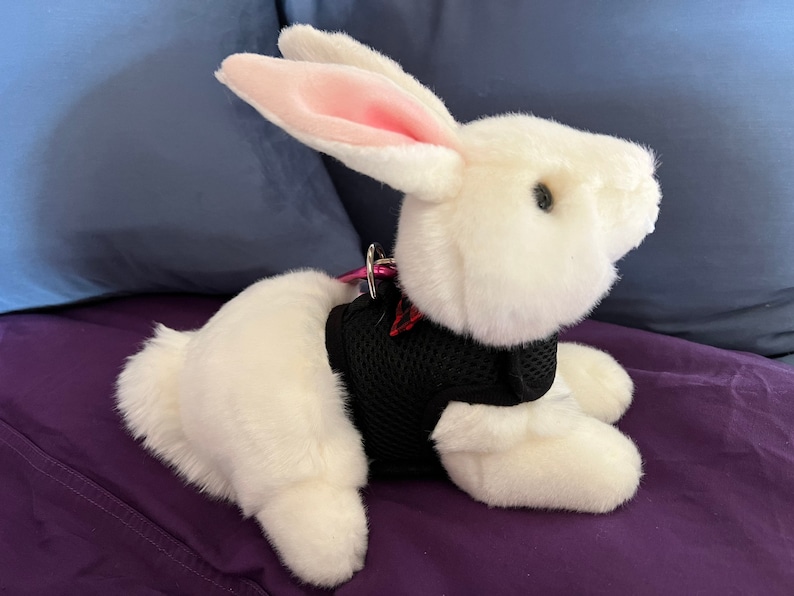 Emotional Support Killer White Bunny Rabbit of Caerbannog - Etsy