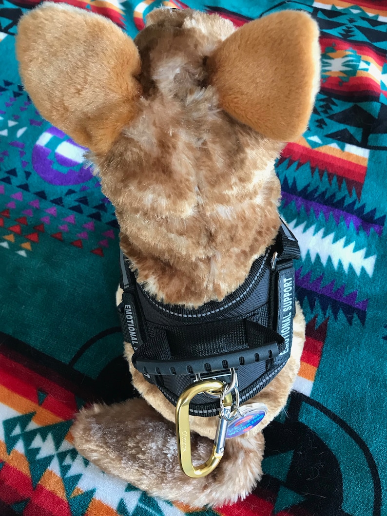 ESSA Coyote Emotional Support Plush Stuffed Animal Personalized Gift ...