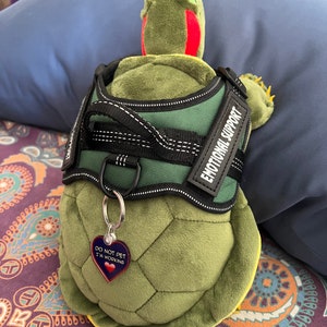 Emotional Support Green Red Eared Slider Turtle Plush Stuffed Animal ...