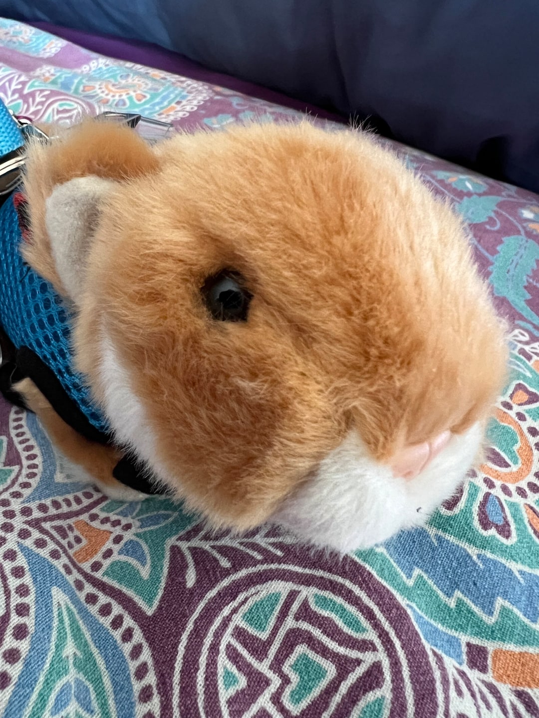 ESSA Golden Hamster Emotional Support Plush Stuffed Animal Personalized ...