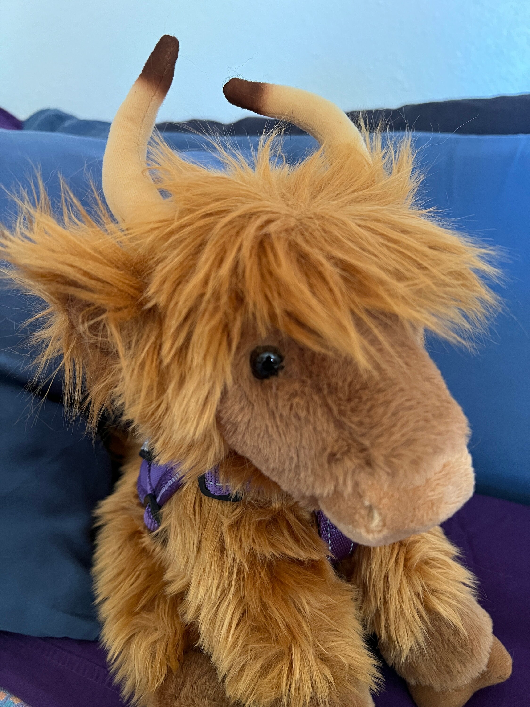 ESSA Highland Cow Emotional Support Plush Stuffed Animal Personalized ...