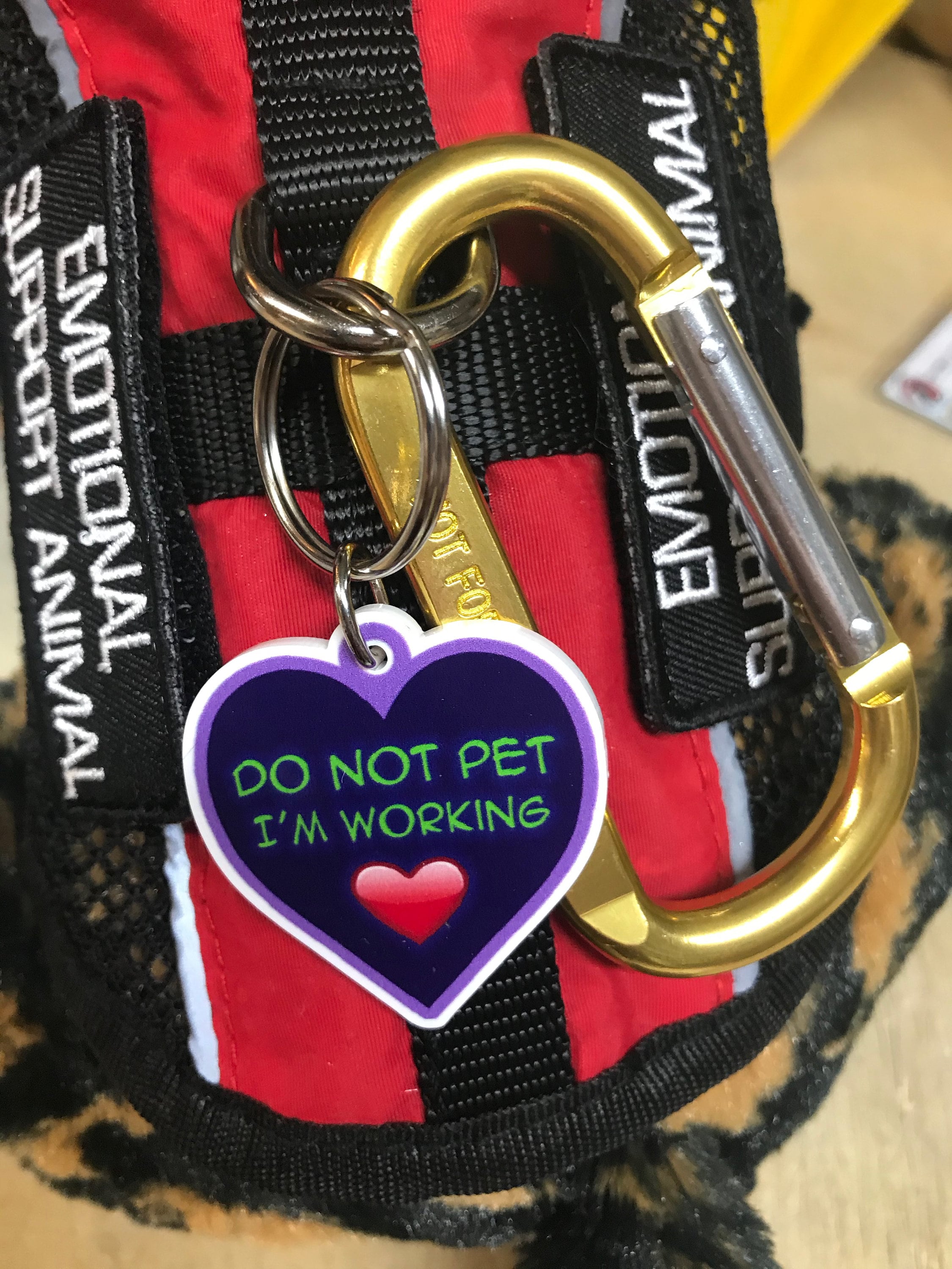 Emotional Support Honey Badger Stuffed Animal Plushie Toy | Etsy New ...