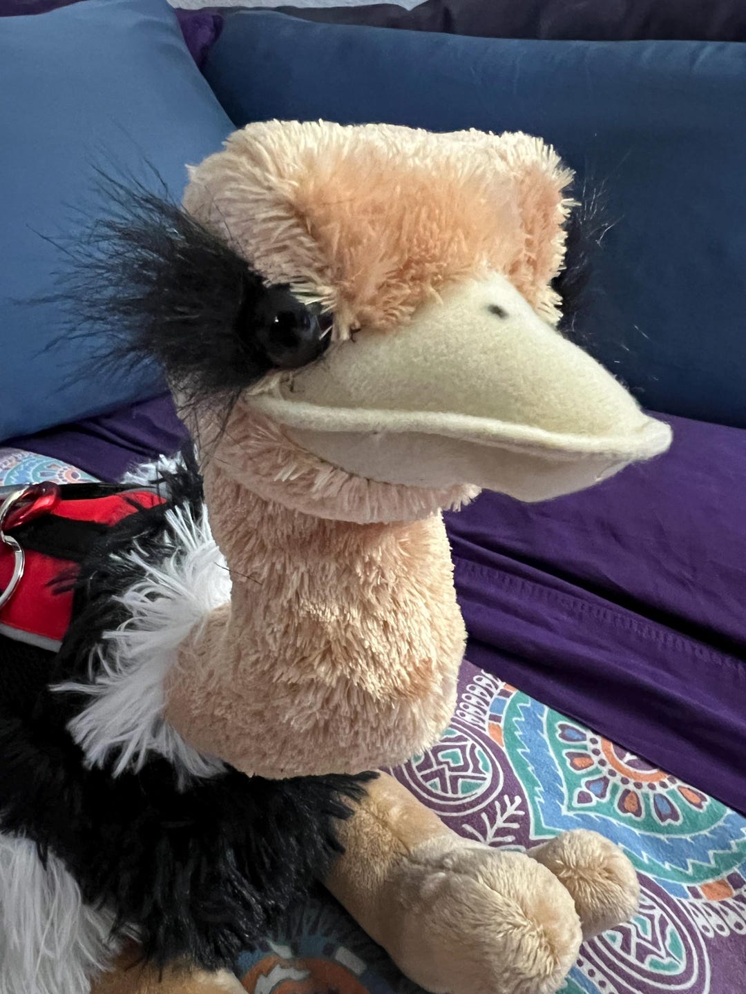 ESSA Ostrich Bird Emotional Support Plush Stuffed Animal Personalized ...