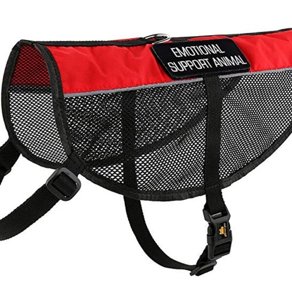 Emotional Support Cat Stuffed Animal Plush - Etsy