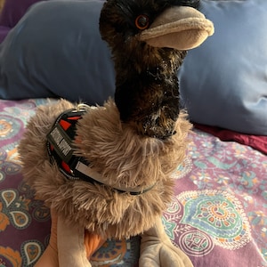 Emotional Support Emu Bird Plush Stuffed Animal Personalized Gift Toy ...