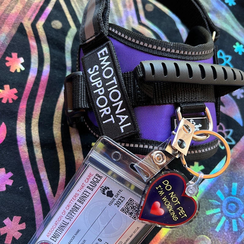 Emotional Support - Etsy