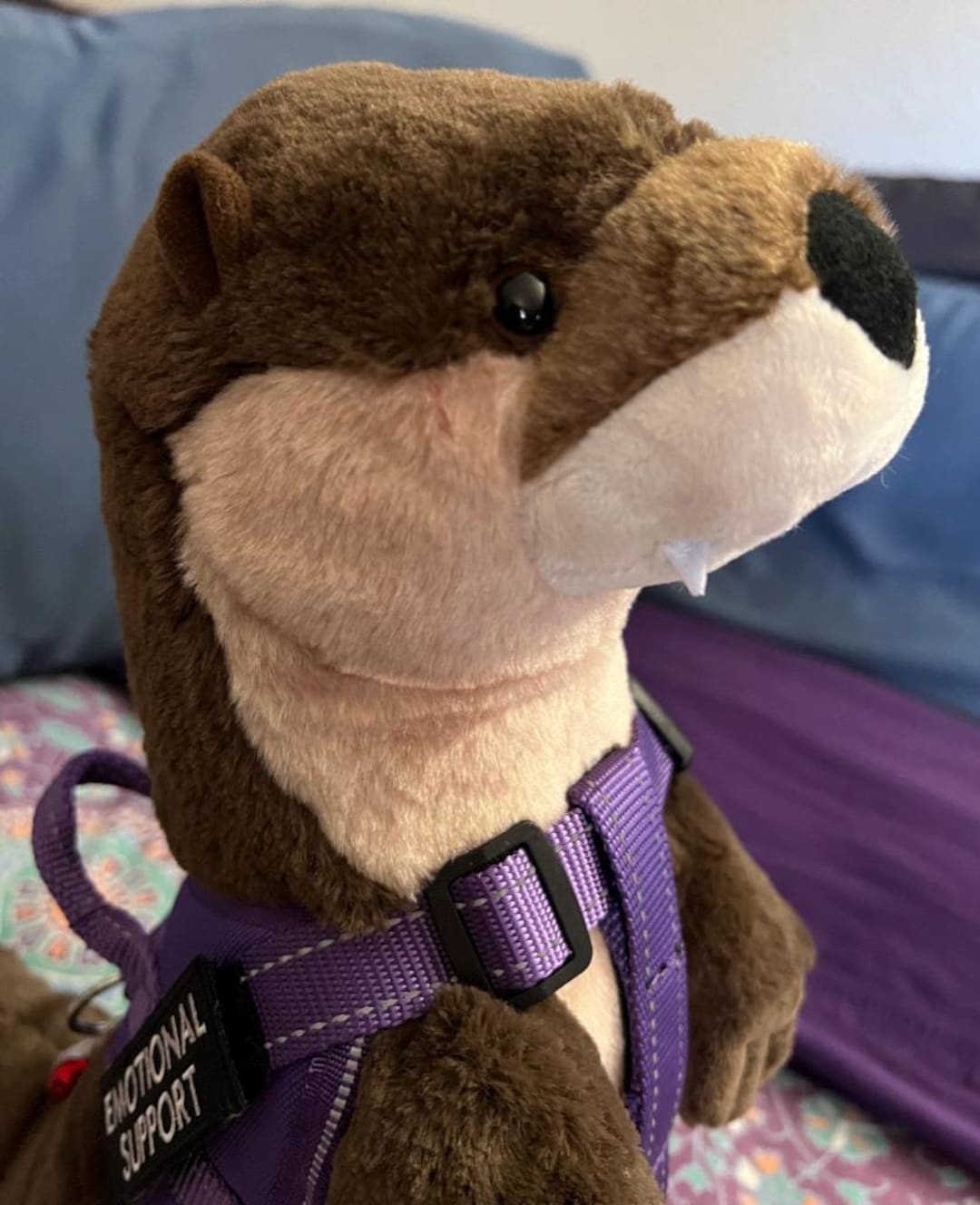 Emotional Support Otter Standing Plush Stuffed Animal Personalized Gift Toy - Etsy