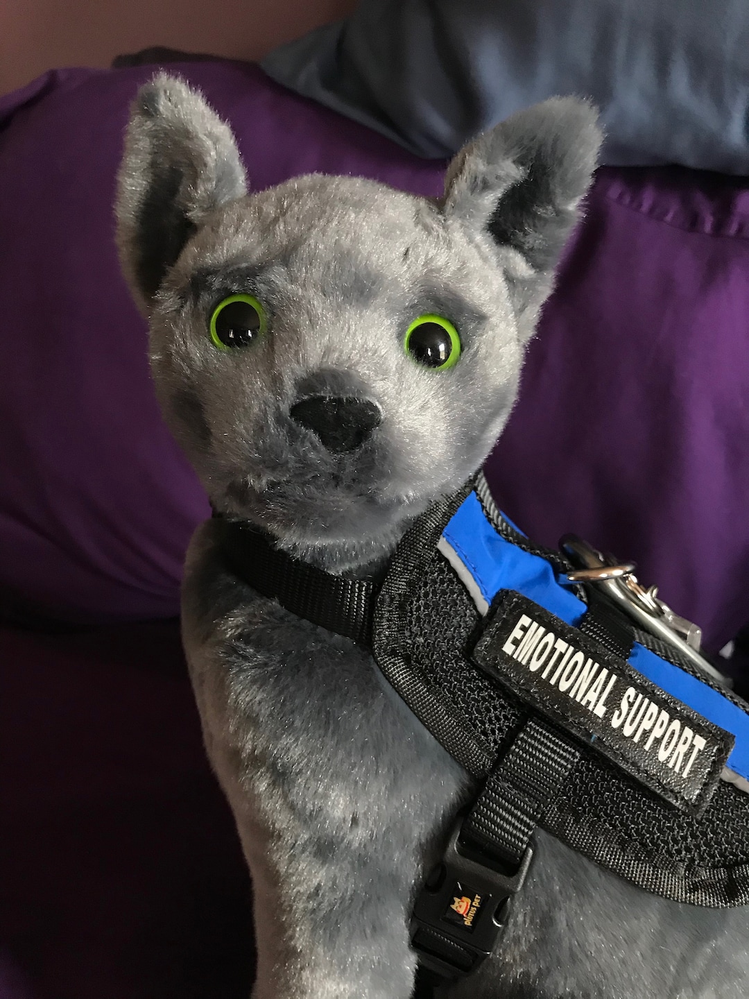 Emotional Support Russian Blue Cat Plush Stuffed Animal Personalized ...
