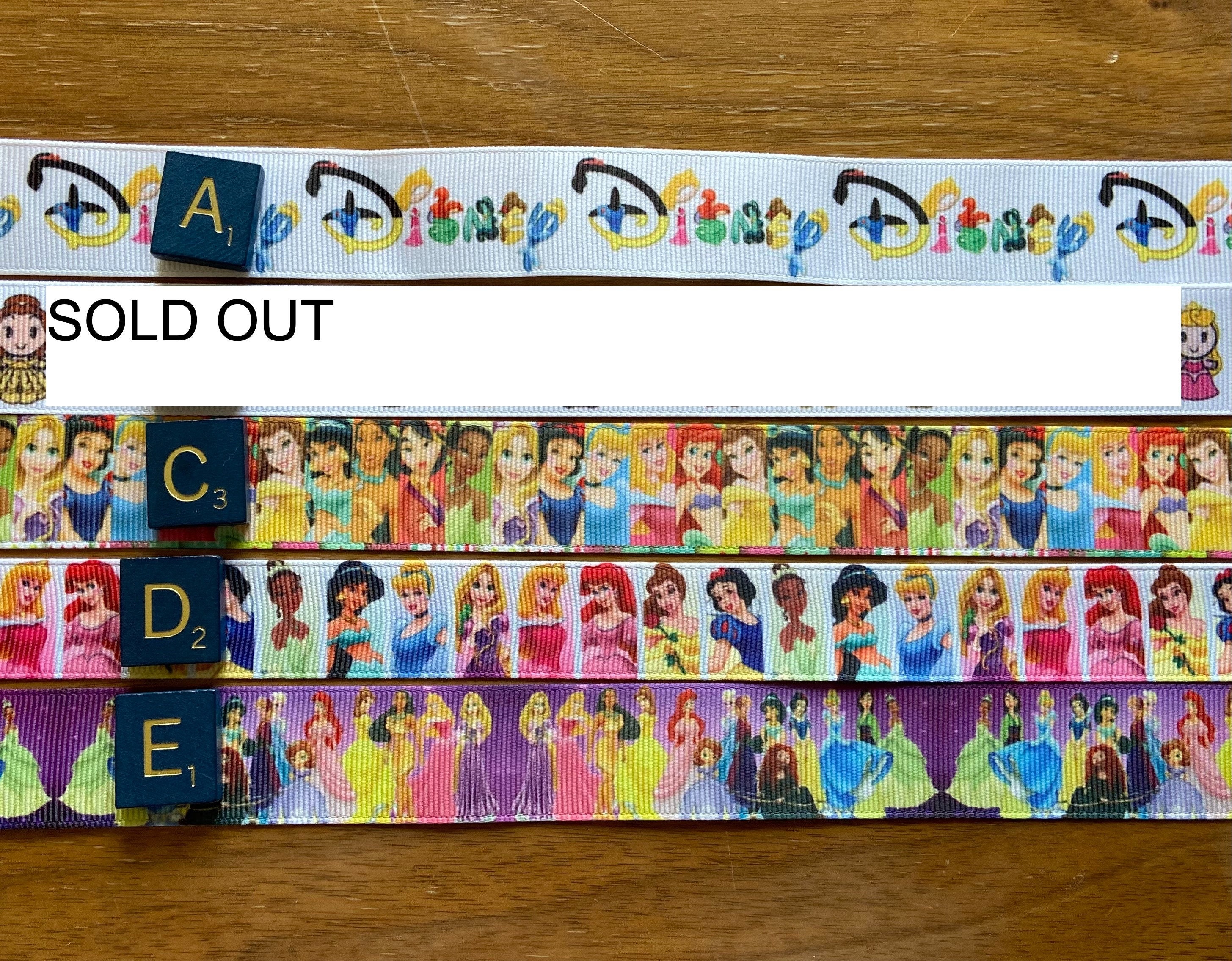 All the Princesses Lanyard & Badge Set for WDW Walt Disney - Etsy