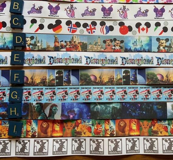 Lanyard & Badge Set for Disney Parks Disney World Disneyland - Etsy