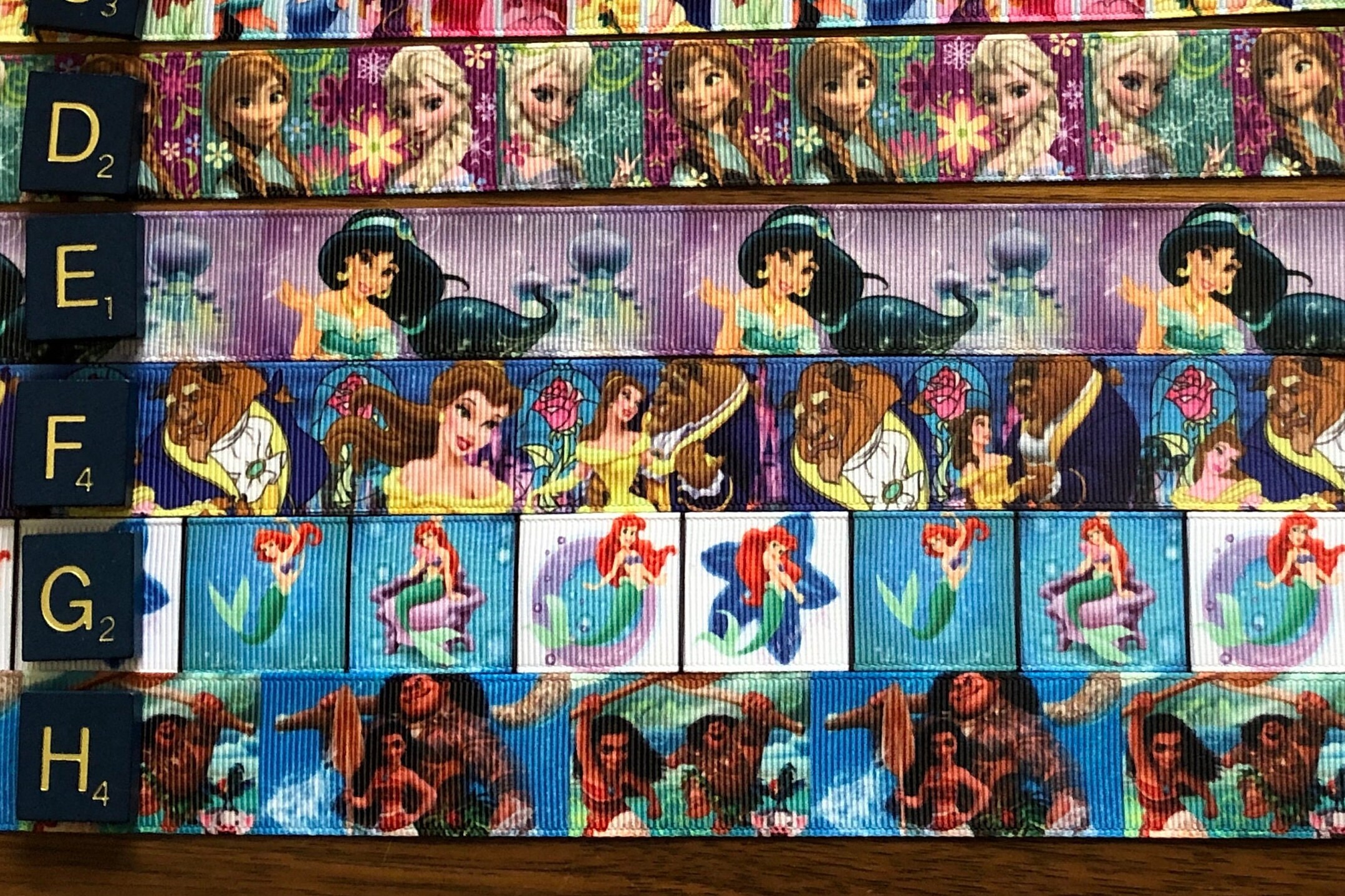 Princess Lanyard & Badge Set for WDW Walt Disney World, Disneyland ...