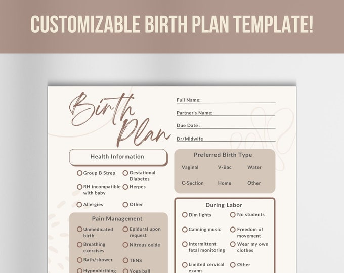 Birth Plan Template|birth Plan|birth Plan Template Editable|visual Birth Plan|birth Preferences ...