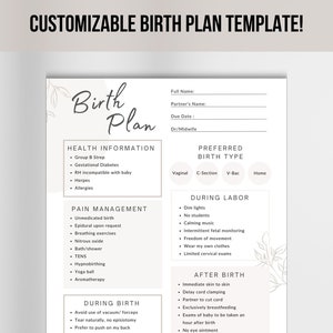 Birth Plan Templatebirth Planbirth Plan Template Editablevisual Birth ...