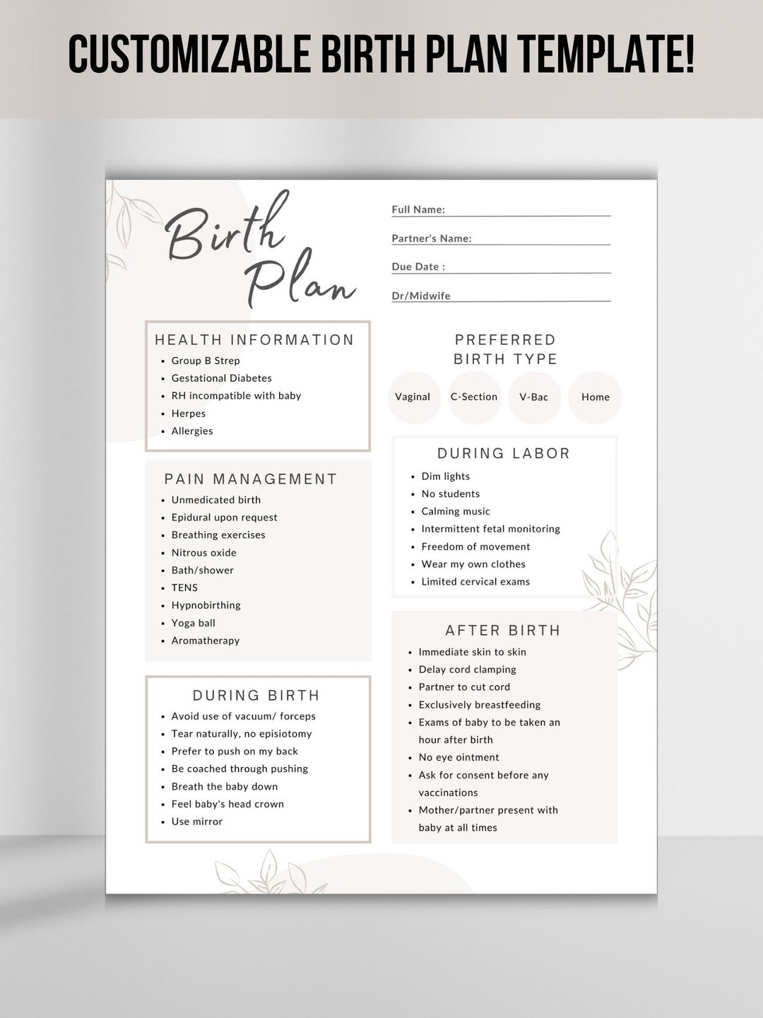 Birth Plan Templatebirth Planbirth Plan Template Editablevisual Birth ...