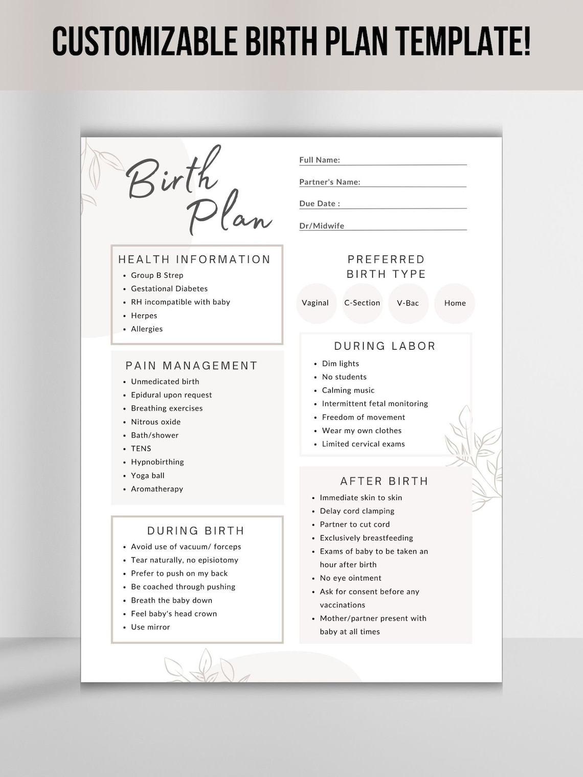 Birth Plan Templatebirth Planbirth Plan Template Editablevisual Birth ...