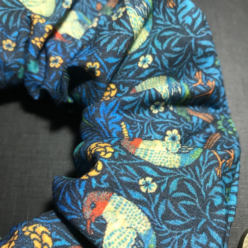 Victorian Ladies With Birds - Etsy UK