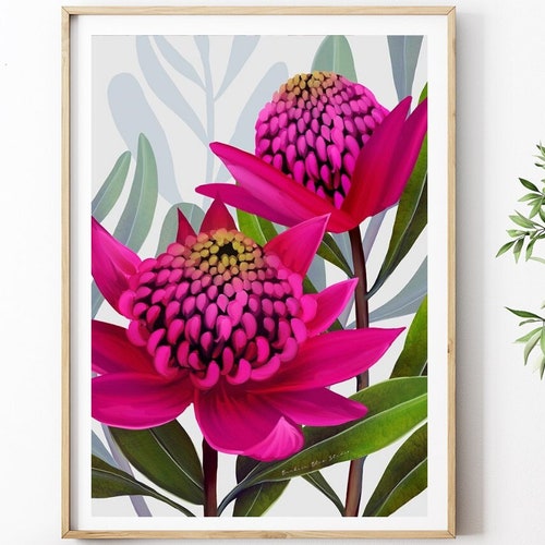 Set of 3 Watercolour Australian Native Flower Prints | Etsy