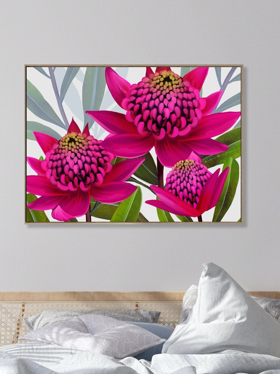 Australian Native Pink Waratah Flower Wall Art - Digital Download ...