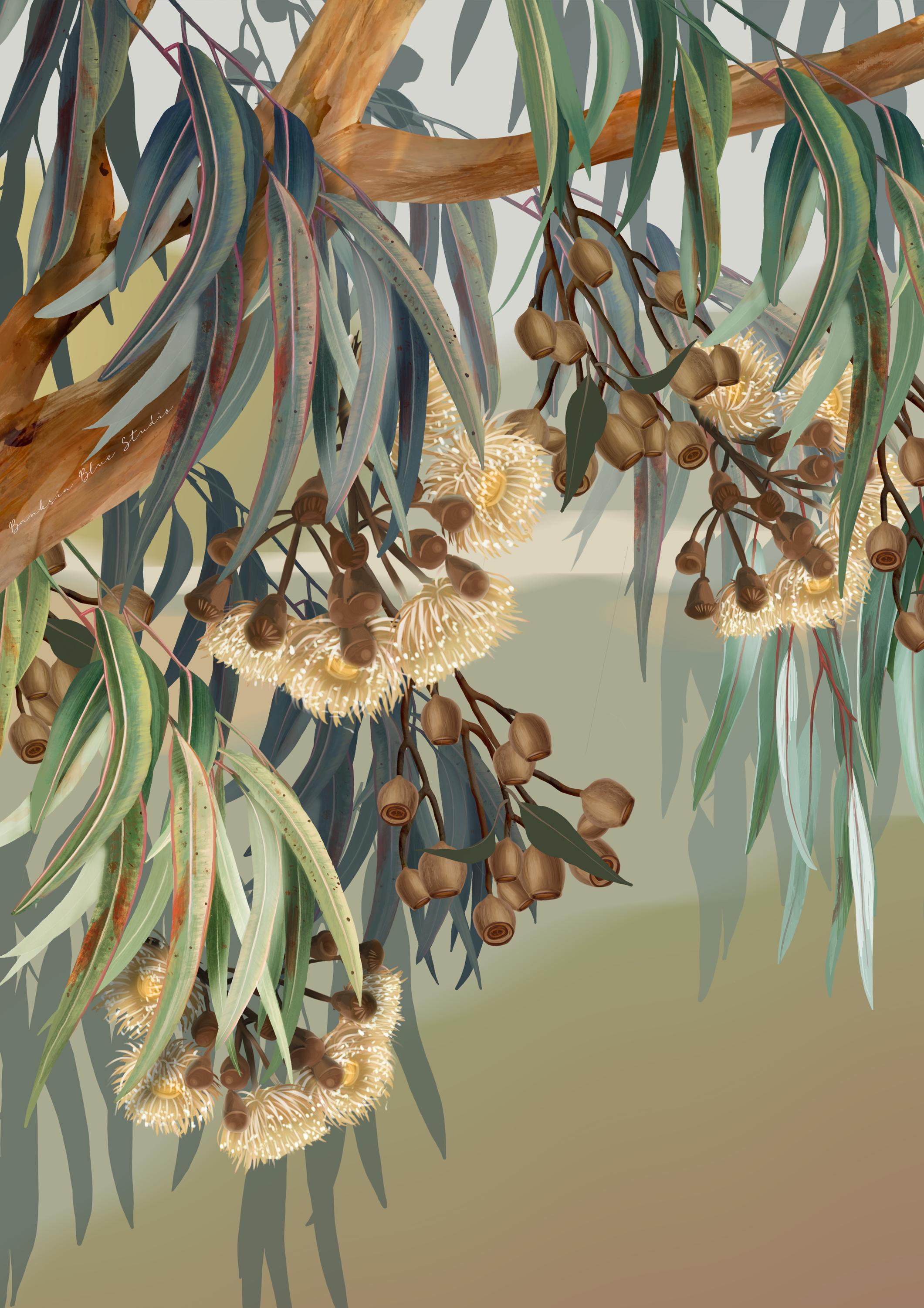 Australian Botanical Gallery Wall Art Set: Digital Download Prints of ...