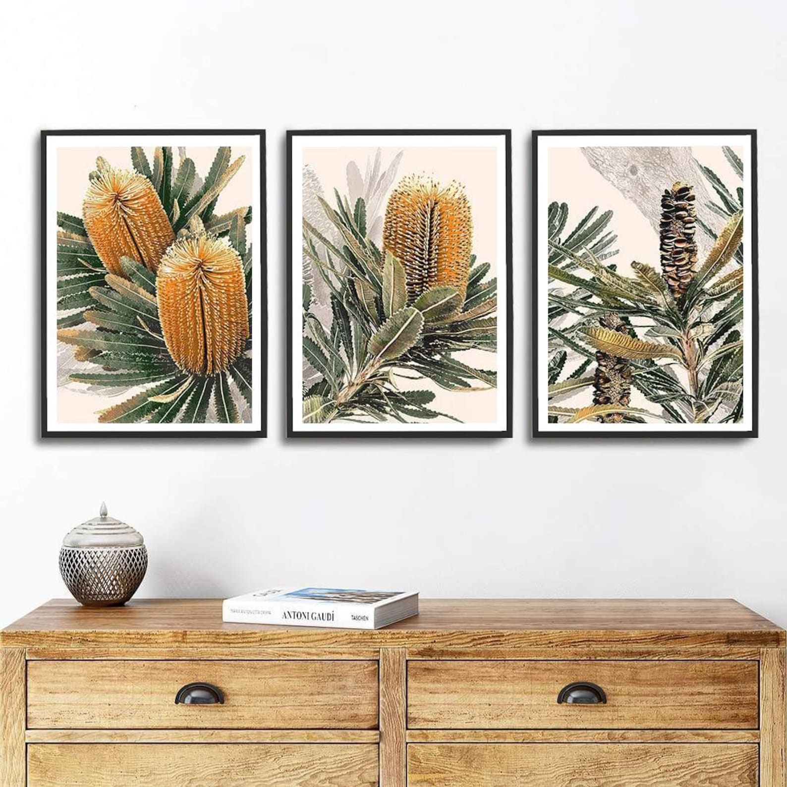 Australian Native Banksia Botanical Wall Art Set: Digital Download ...