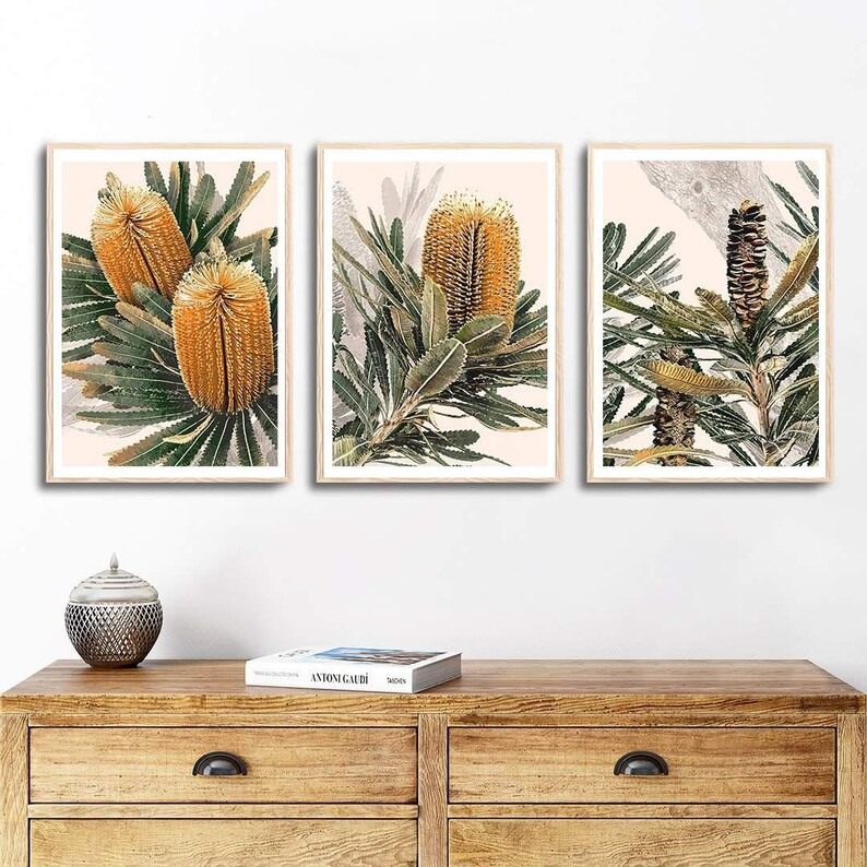 Australian Native Banksia Botanical Wall Art Set: Digital Download ...