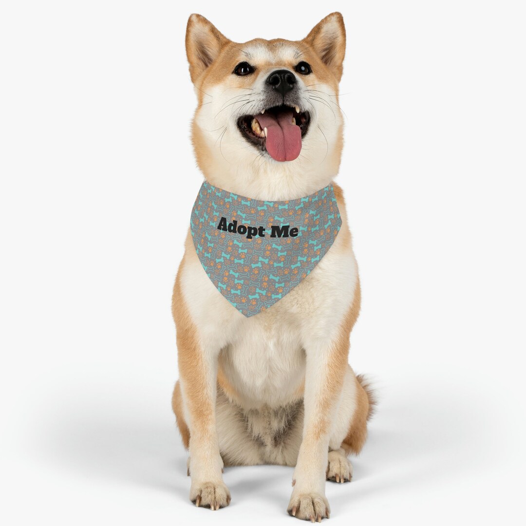 Gray "adopt Me" Pet Bandana Style Collar - Etsy
