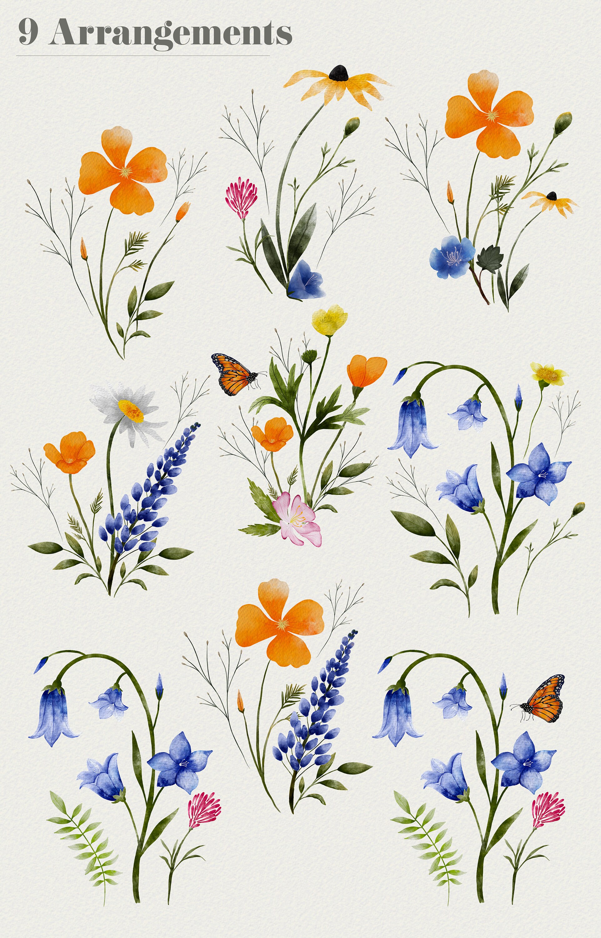 Watercolor Wildflower Clipart - Watercolor Floral PNG - Etsy