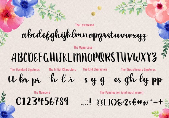 Hand Lettering Brush Script Font