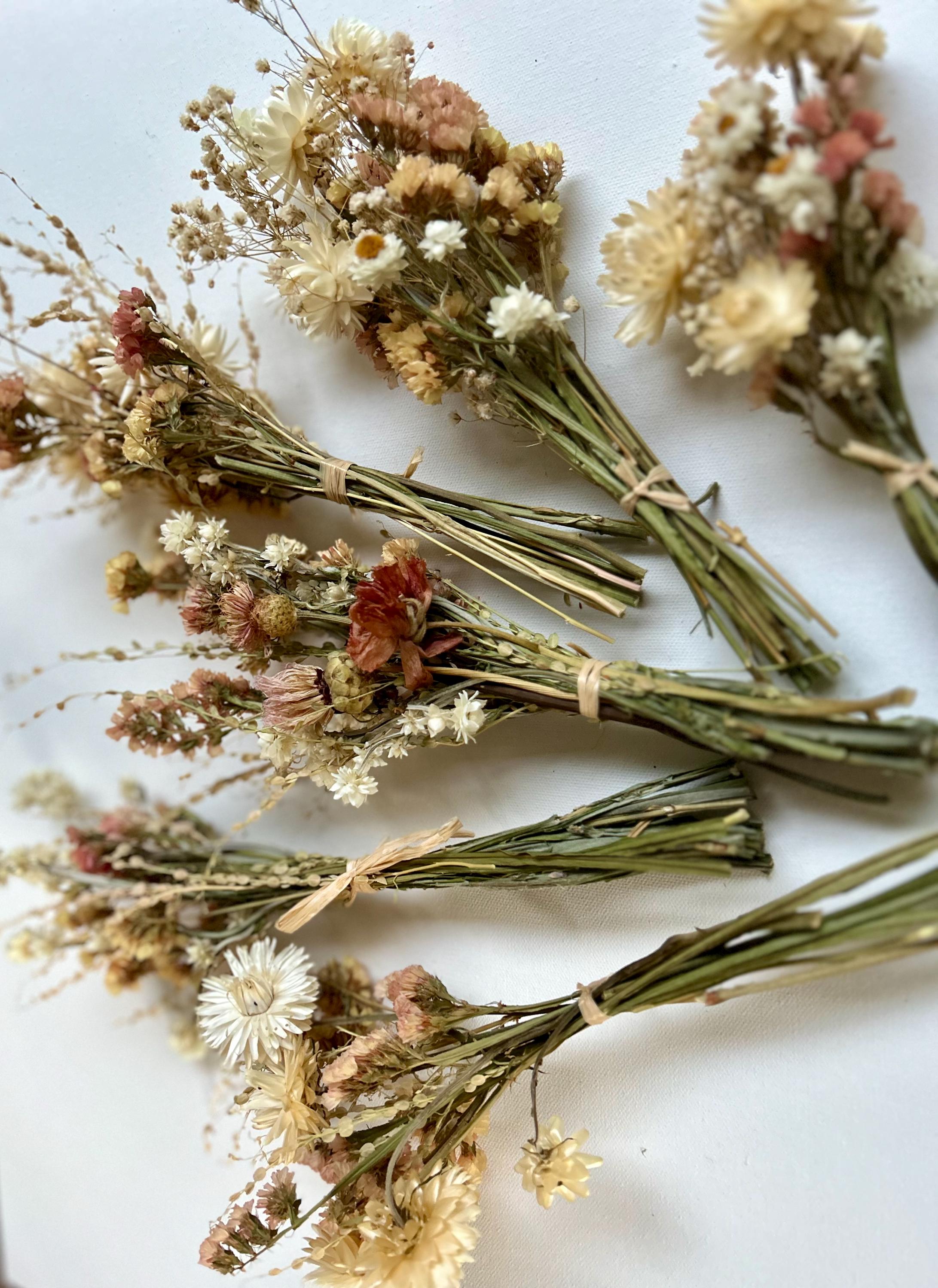 Dried Flower Bouquet Collection - Etsy