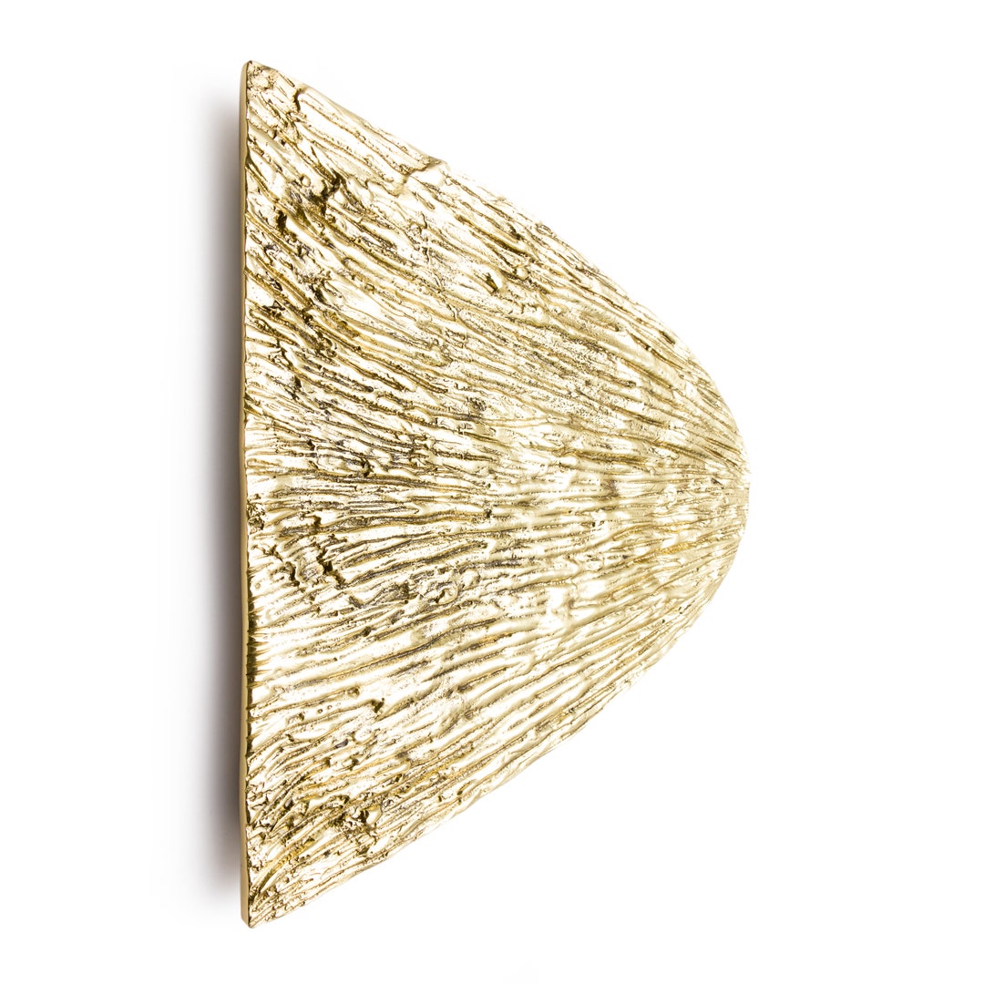Brushed Brass Front Door Pull, Seashell Textured Main Door Handle ...