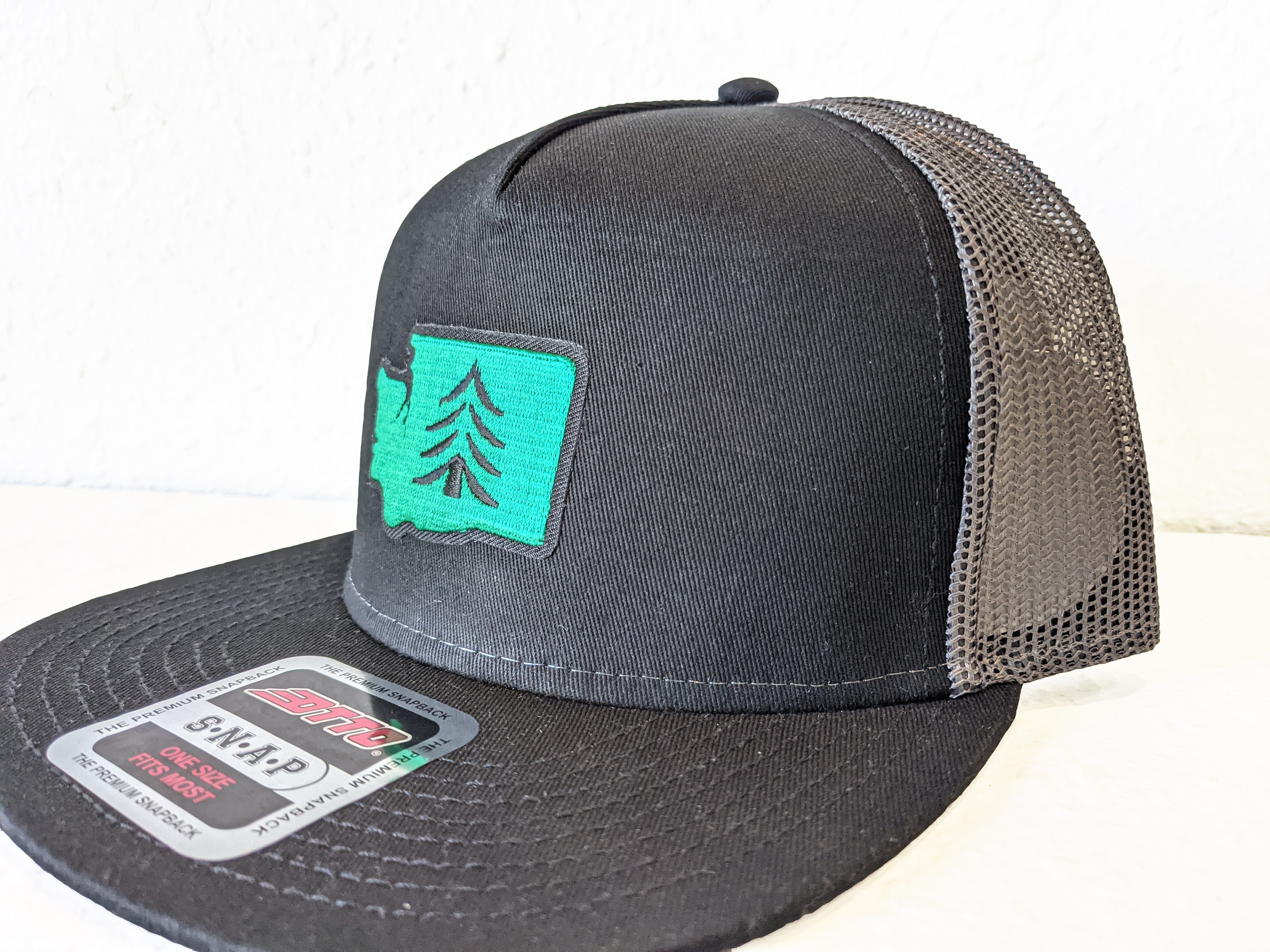 Washington State Evergreen Hat - Etsy