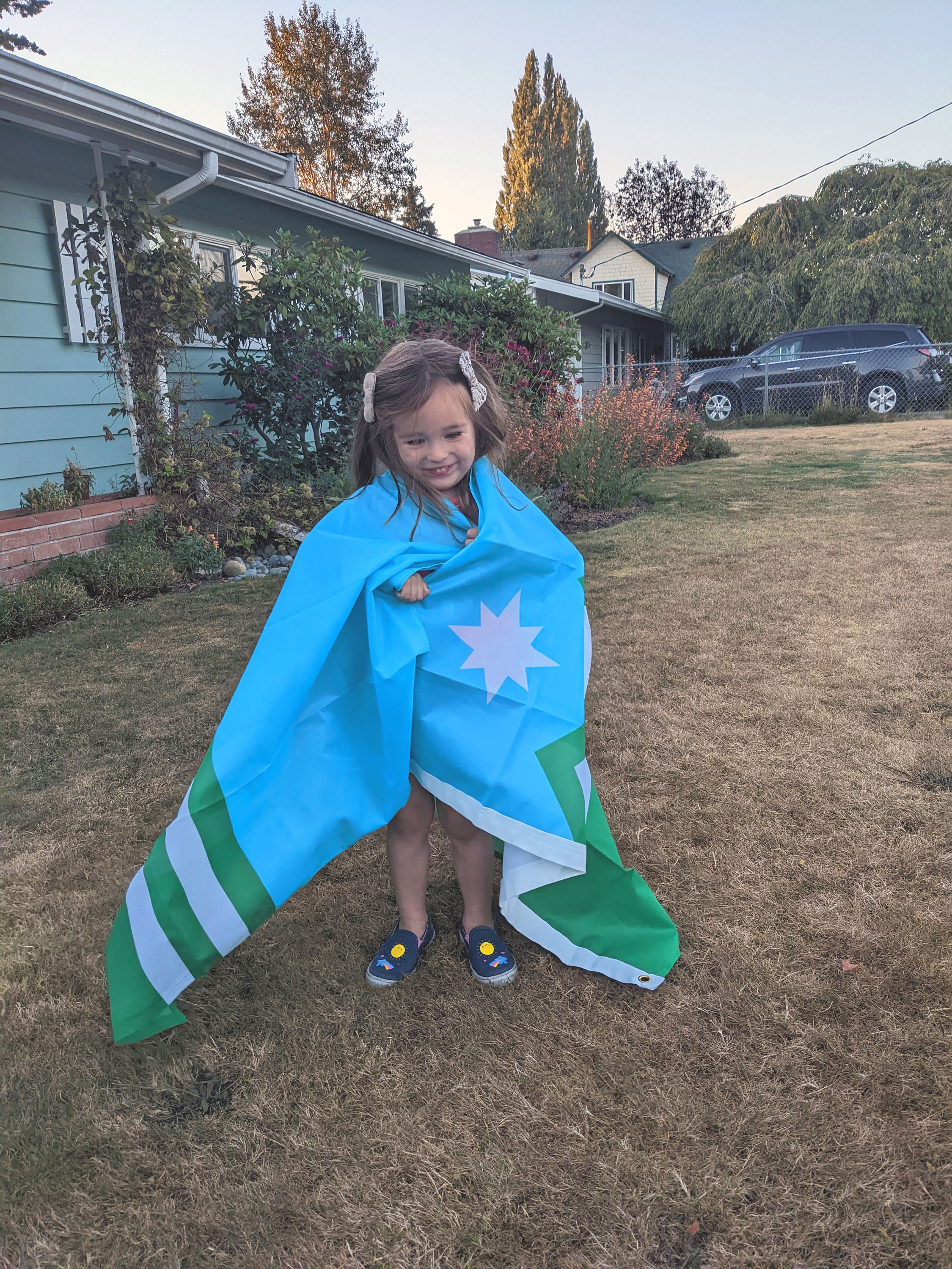 New Washington State Flag Design 3x5 Flag - Etsy