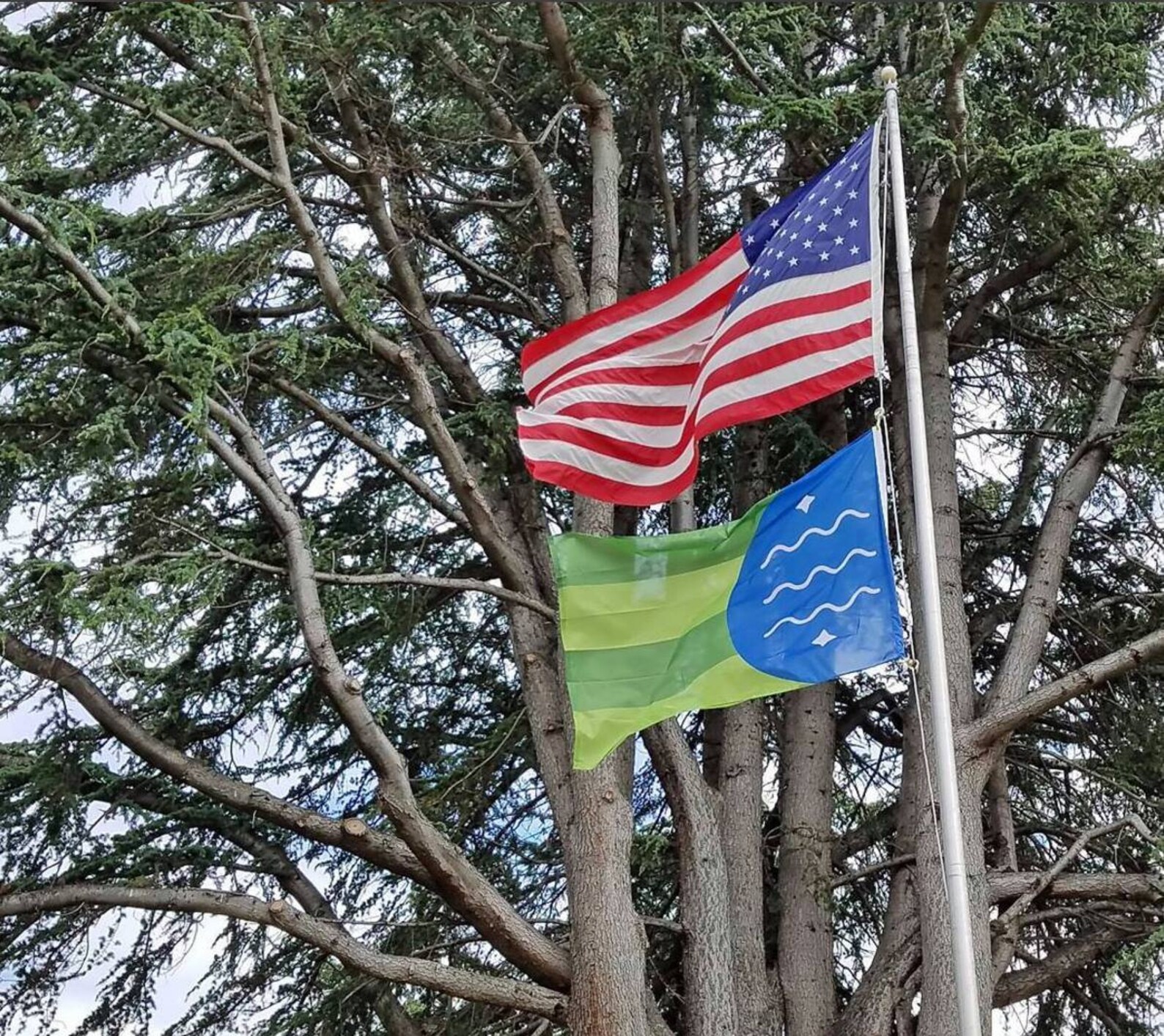 Bellingham Flag - 3x5 Ft Outdoor/indoor Polyester Flag - Etsy