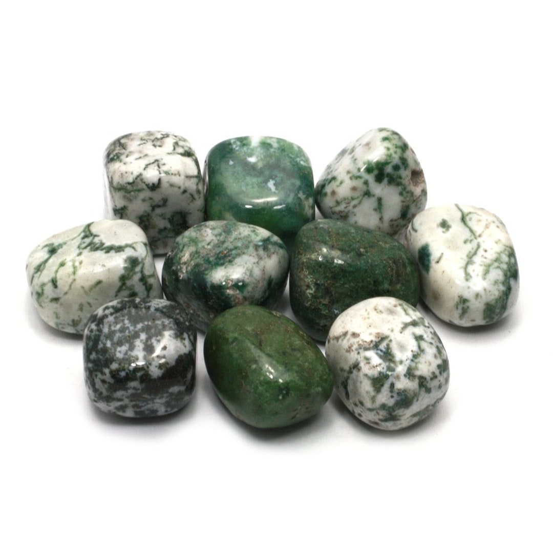 Tree Jasper Tumble Stone (20-25mm) | T091 - Etsy